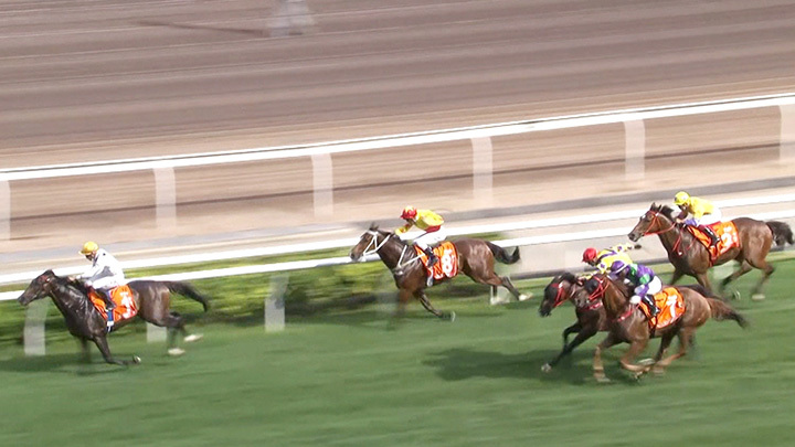 運動大本營 | 運動大本營 | 無綫新聞TVB News