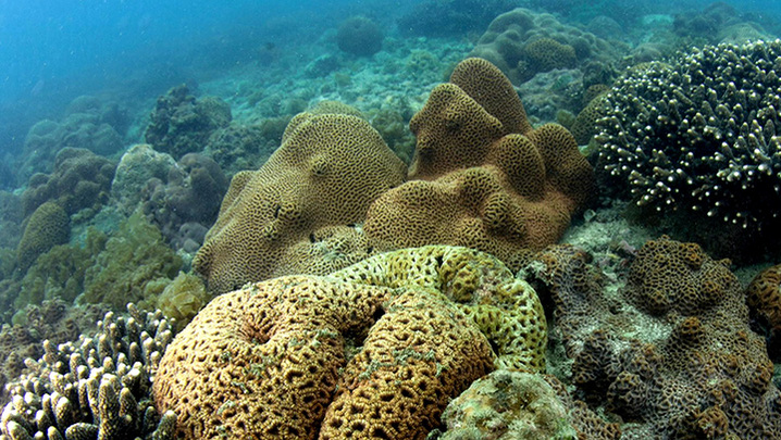 小心過度旅遊 屈穎妍 | 有理說得清 | 無綫新聞TVB News