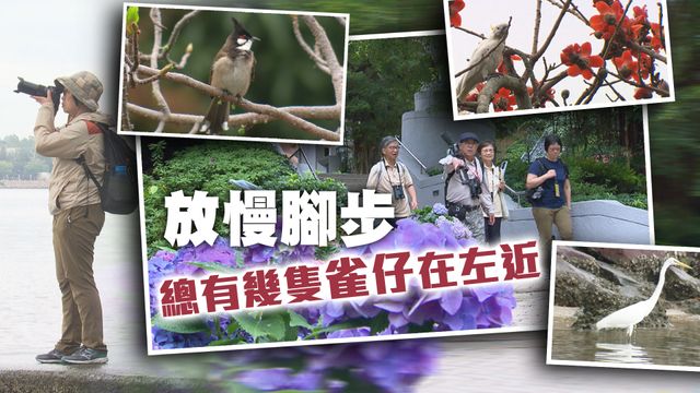 無耆不有｜賞鳥悟人生 維持動力走出去探索世界 | 無綫新聞 TVB News