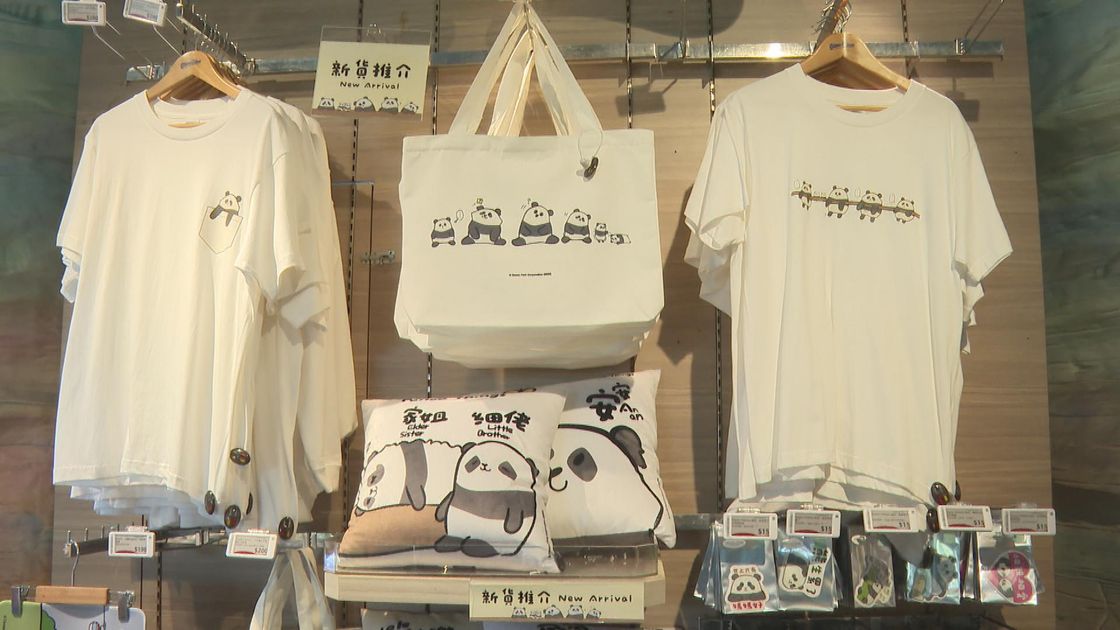 時事多面睇｜「IP角色經濟」商機龐大 香港大熊貓角色如何保持熱度？ | 無綫新聞TVB News