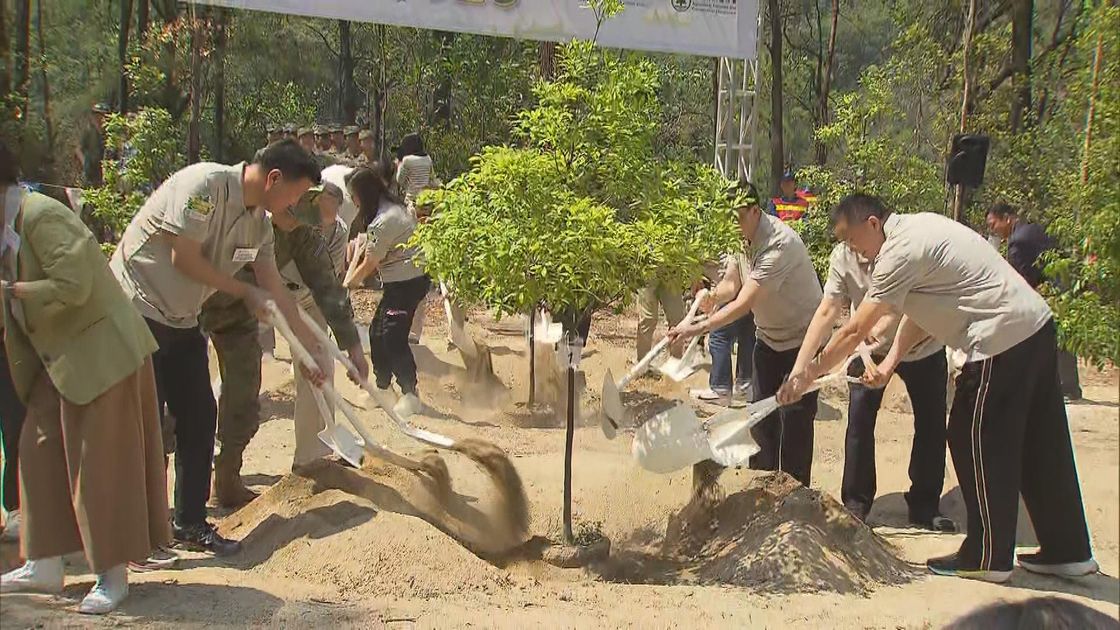 元朗大棠舉行植樹日活動 種植5000棵本地原生樹苗 | 無綫新聞TVB News