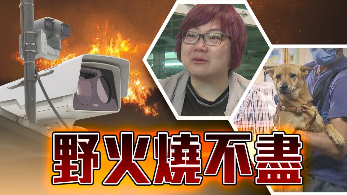星期日檔案｜山火蔓延波及民居 AI快速定位助應對 | 無綫新聞TVB News