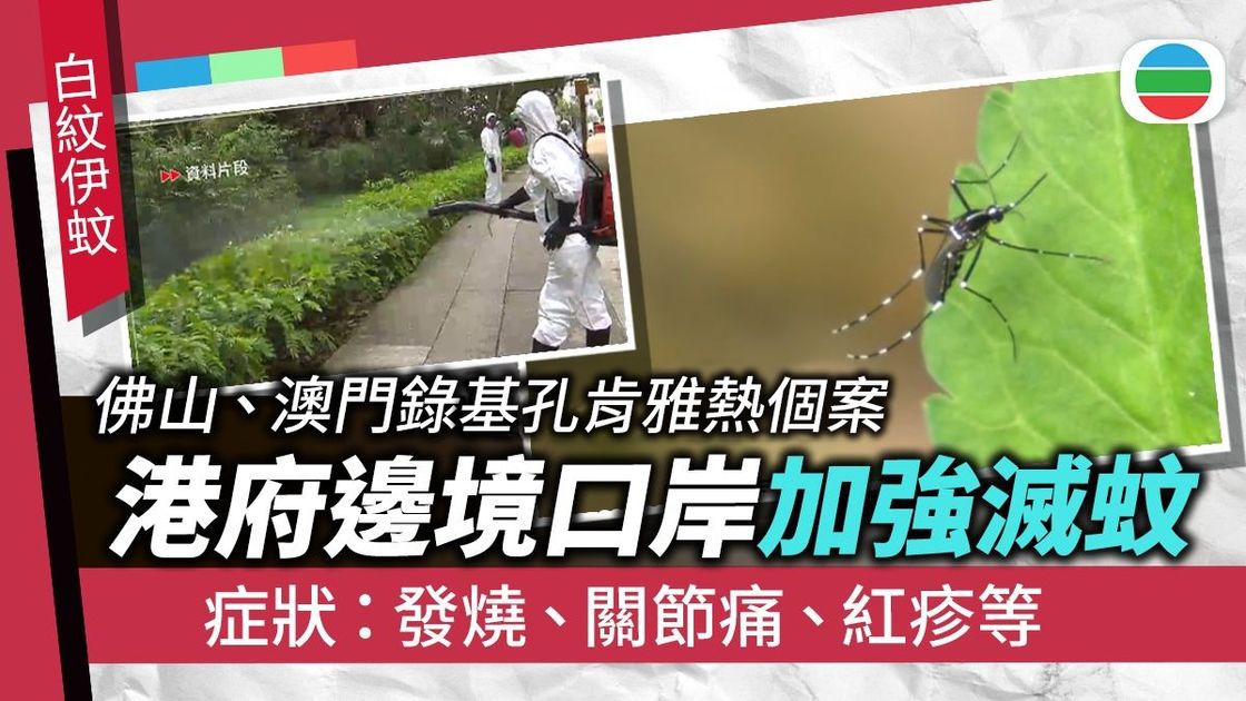 基孔肯雅熱｜本港指會重點監察邊境口岸蚊患預防 同時加強滅蚊 | 無綫新聞TVB News