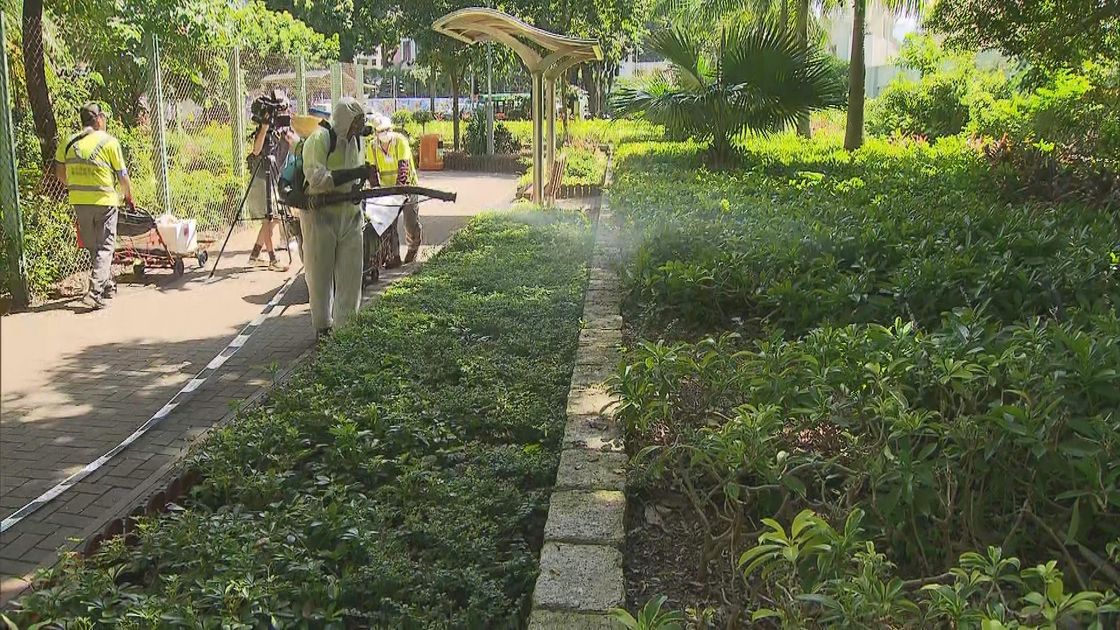 Food and Environmental Hygiene Department steps up mosquito control ...