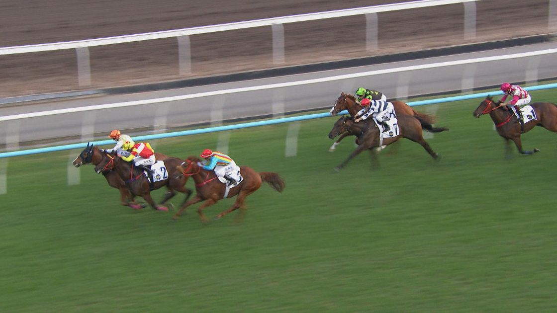 時事通識｜馬會腰斬賽事準則 | 无线新闻TVB News