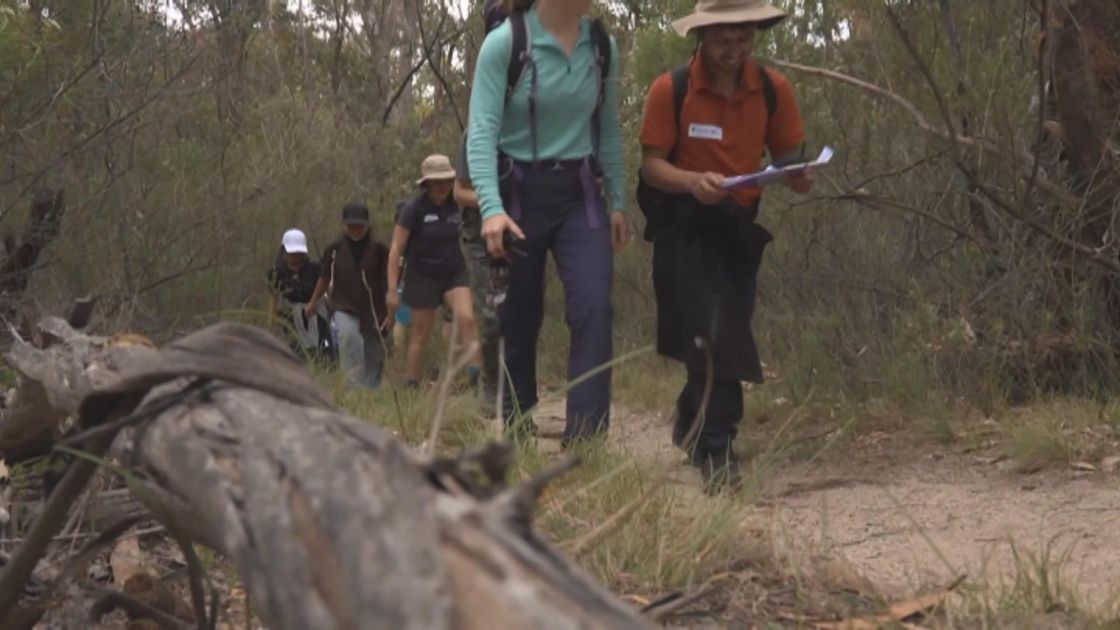 澳洲有非牟利組織舉辦行山活動 冀助難民融入社會 | 無綫新聞TVB News