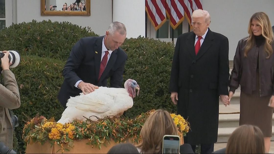 Trump pardons two turkeys for Thanksgiving but not Democratic stalwarts ...