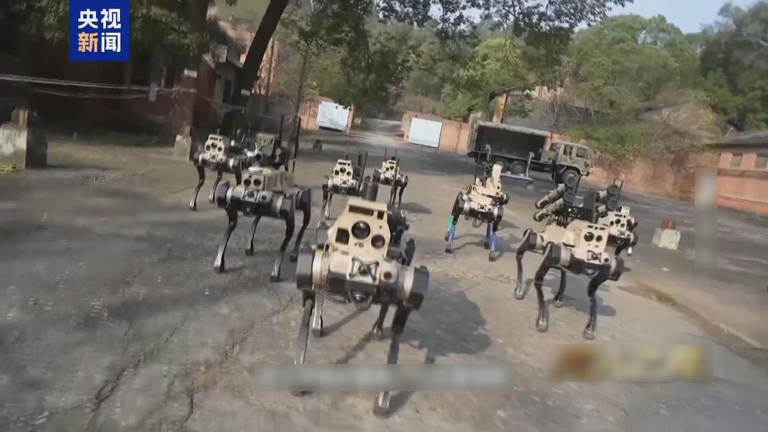 China unveils latest generation of robot wolves in urban combat | 無綫新聞 ...