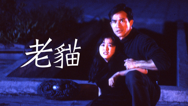 The Cat - myTV SUPER