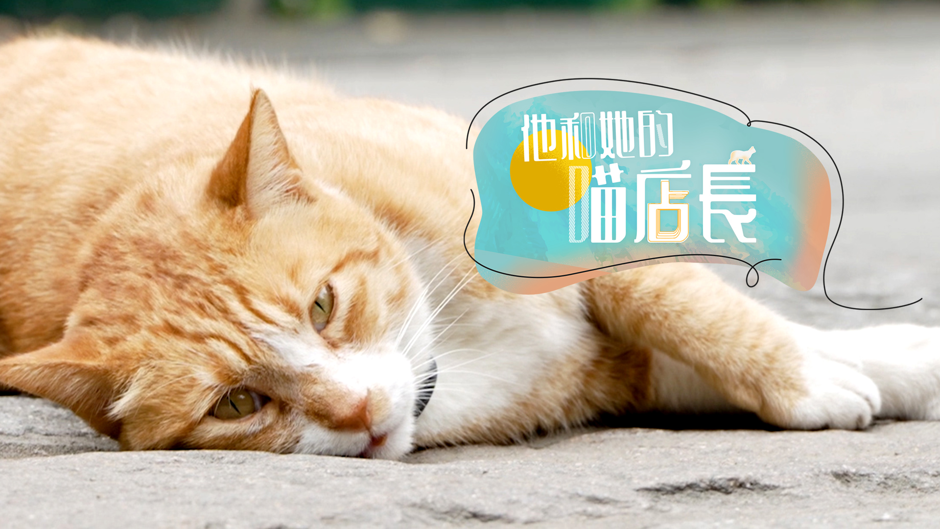 Cat, Me, If You Can Depict The Old Hong Kong - Watch on myTV SUPER