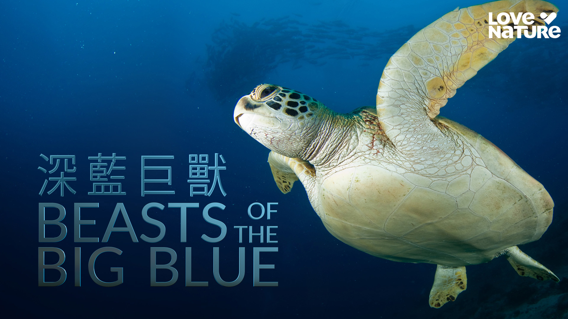 Beasts of the Big Blue 1 - Watch on myTV SUPER